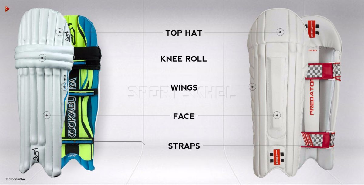 Types of Cricket Pads and Their Functions - Globe or Smart